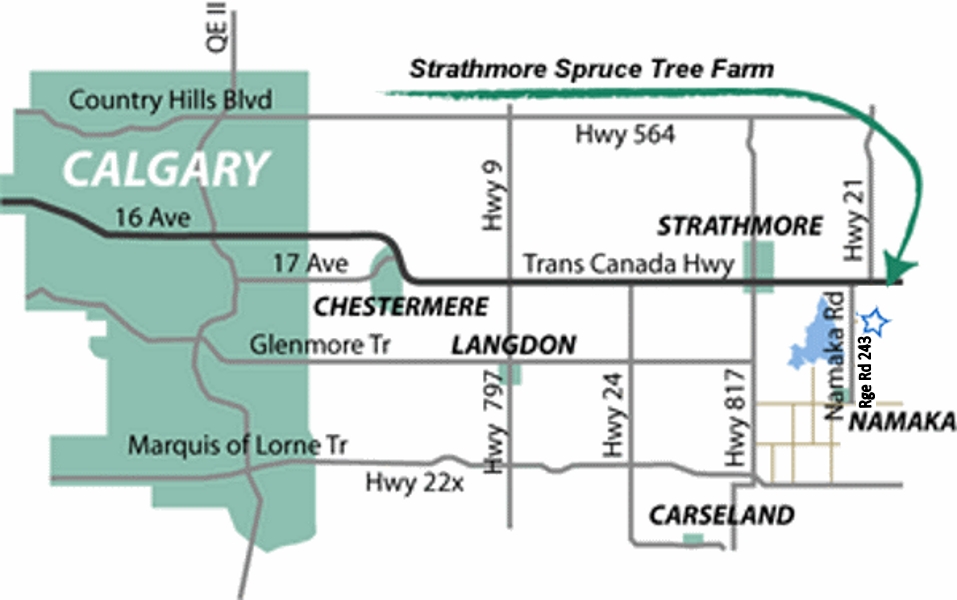 Strathmore Spruce Tree Farm